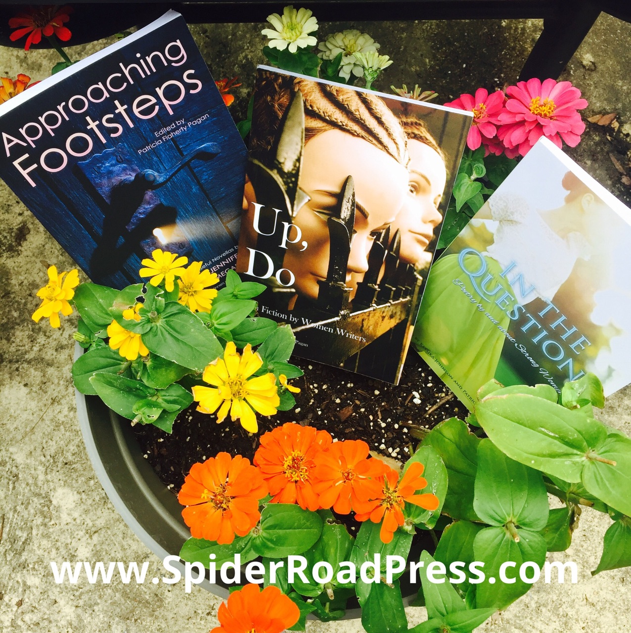 Books and Stories - Patricia Flaherty Pagan
